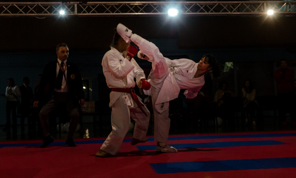 Festivalul de Arte Marțiale și Sporturi de Contact din Timișoara ...